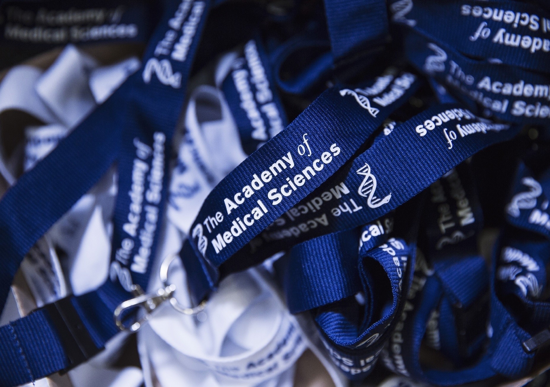 #19 Building an influential brain trust | The Academy of Medical Sciences