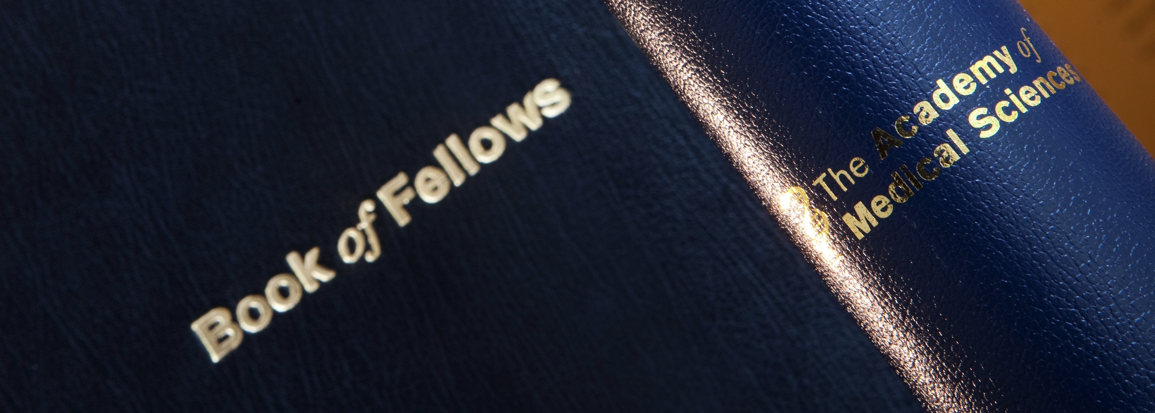 Types of Fellowship | The Academy of Medical Sciences