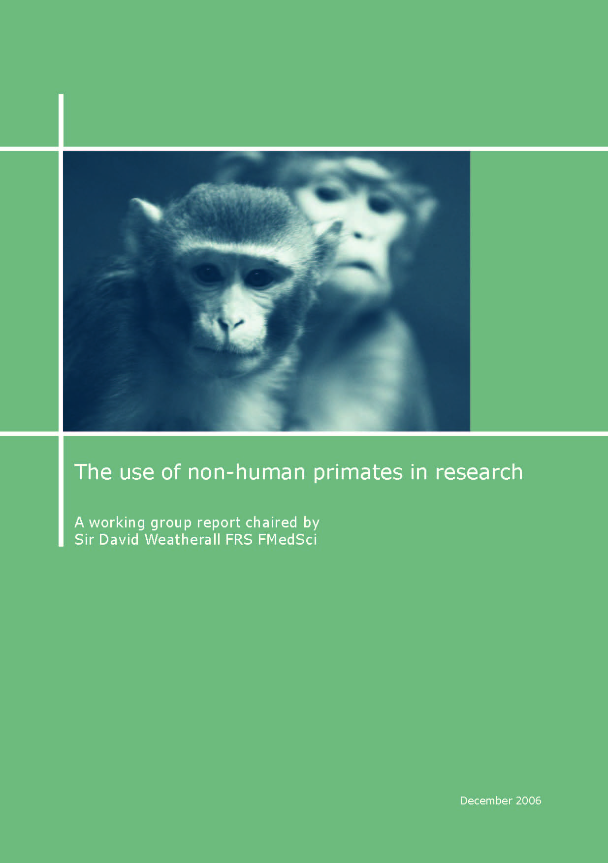Use of non-human primates in research | The Academy of Medical Sciences
